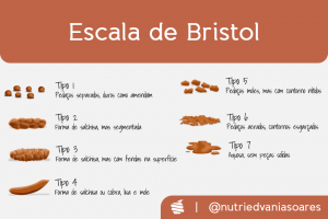 Escala de Bristol - Estima Nutrição